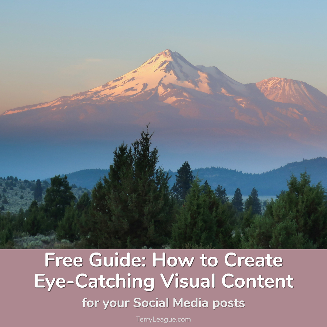 Visual Content Creation Guide For Busy Solopreneurs Terry League